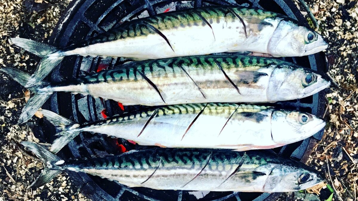 Study links omega-3s to improved brain structure, cognition at midlife ...