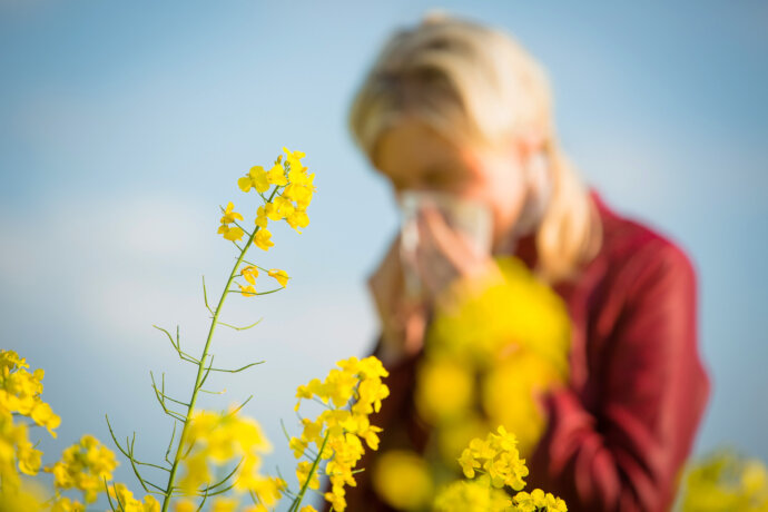 Spot the difference between Texas allergies vs. the common cold - UT ...