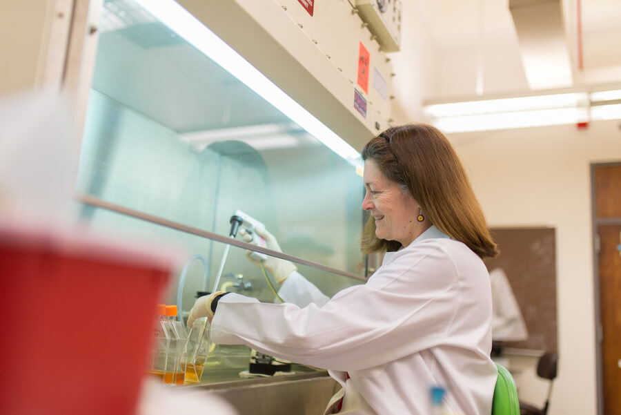 Pediatrics professor’s research honored with citywide award - UT Health ...